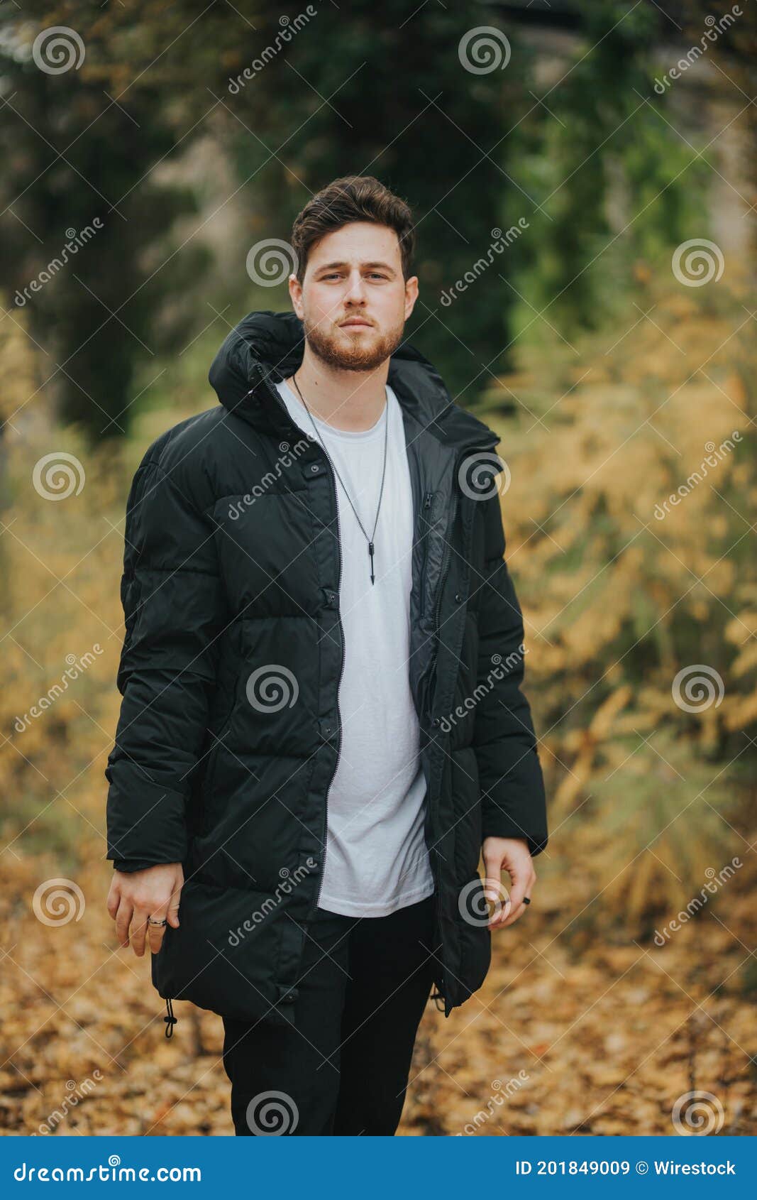 Shallow Focus Shot of a Young and Attractive Male Posing at Camera ...