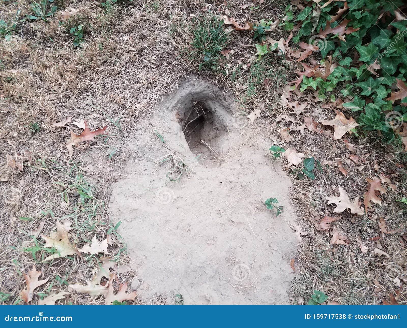 Hole from Digging in Dirt with Grass or Lawn Stock Photo - Image of ...