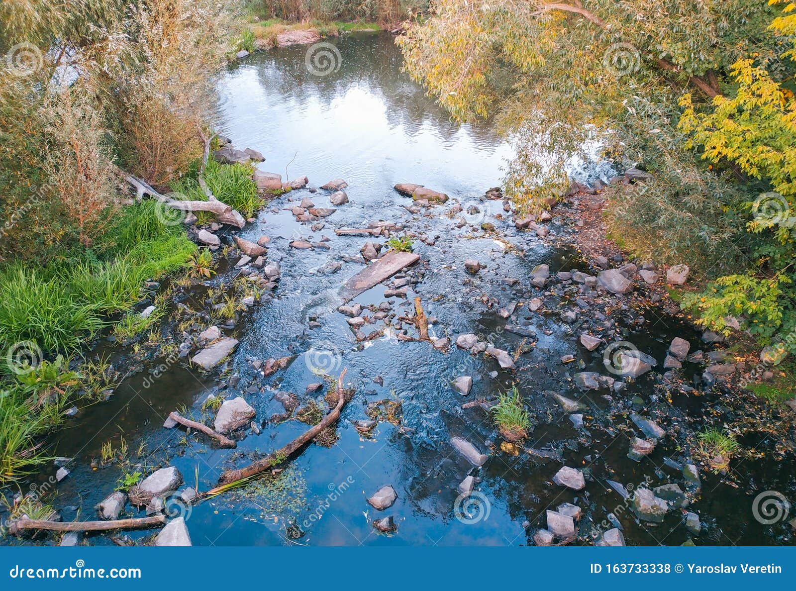 Shallow Mountain River with Bare Rocky Bottom, Flows through the Forest ...