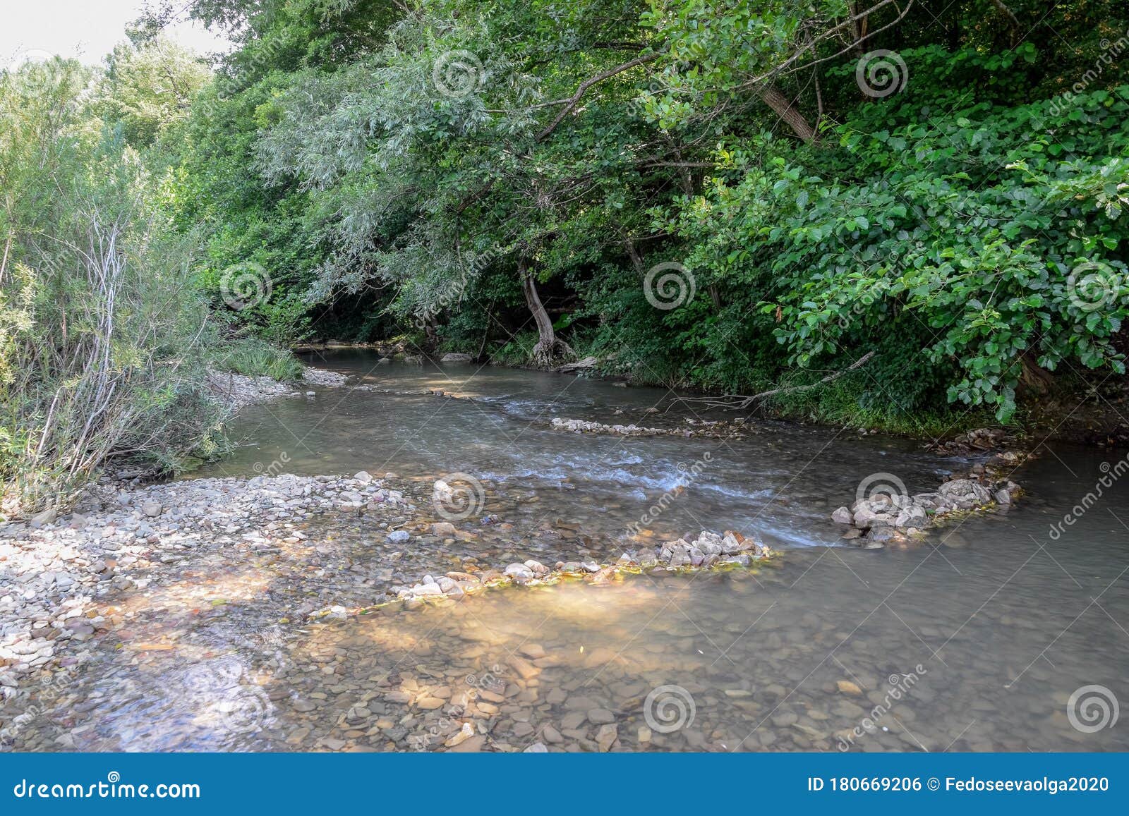 Shallow Mountain River, the Bottom of a Mountain River of Stones and ...