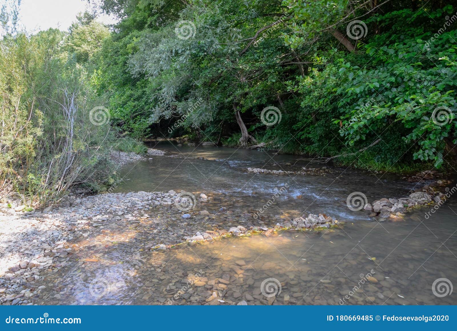 Shallow Mountain River, the Bottom of a Mountain River of Stones and ...