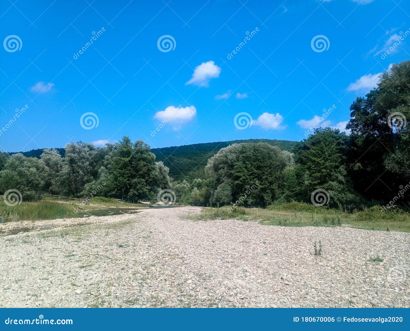 Shallow Mountain River, the Bottom of a Mountain River of Stones and ...