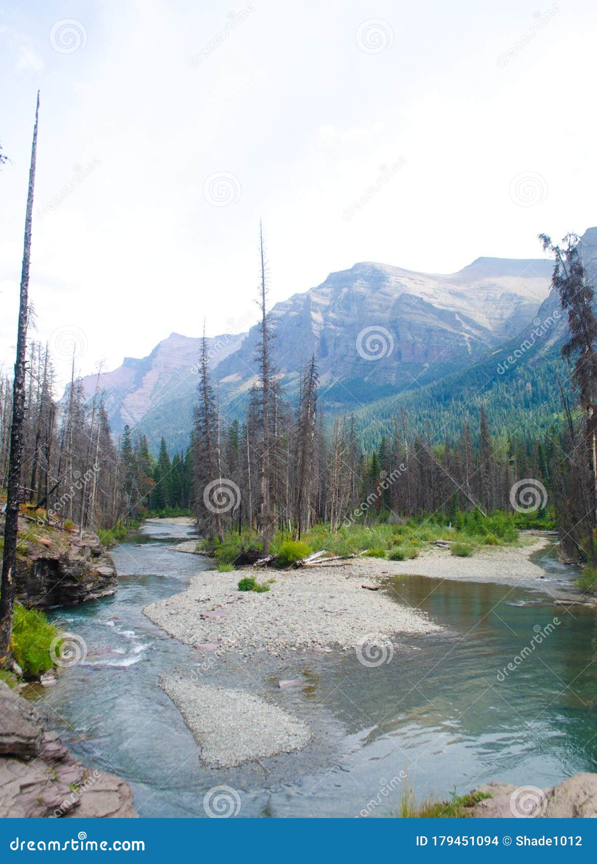 Shallow mountain river stock photo. Image of river, mountain - 179451094