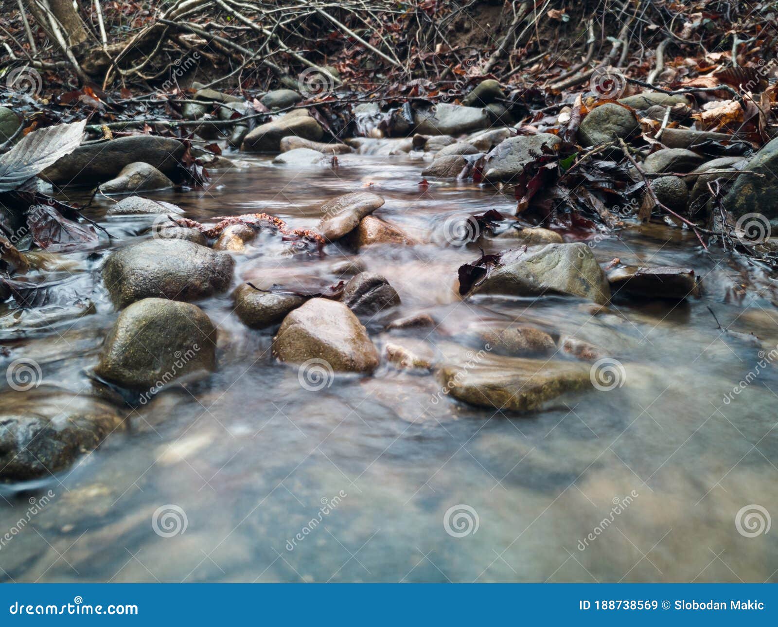 Shallow Mountain Stream with a Rocky Bottom Stock Image - Image of ...