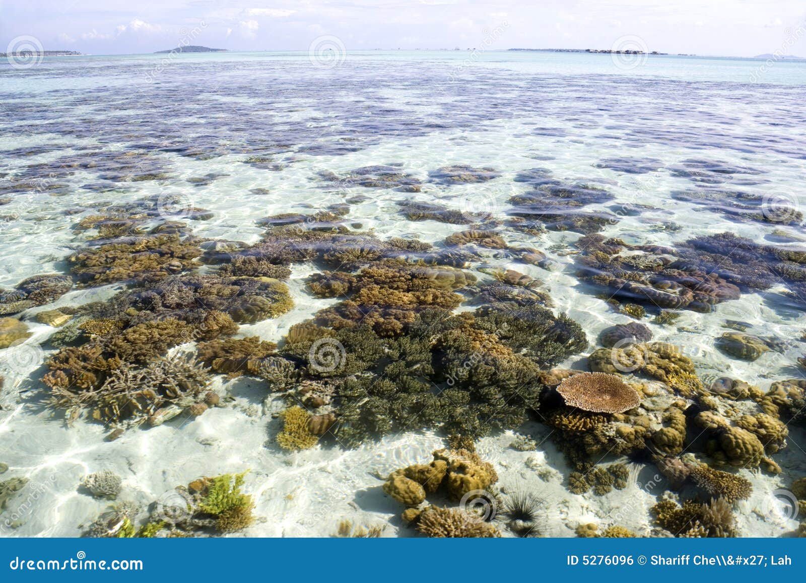 Shallow Open Sea and Corals Stock Photo - Image of tropics, asia: 5276096