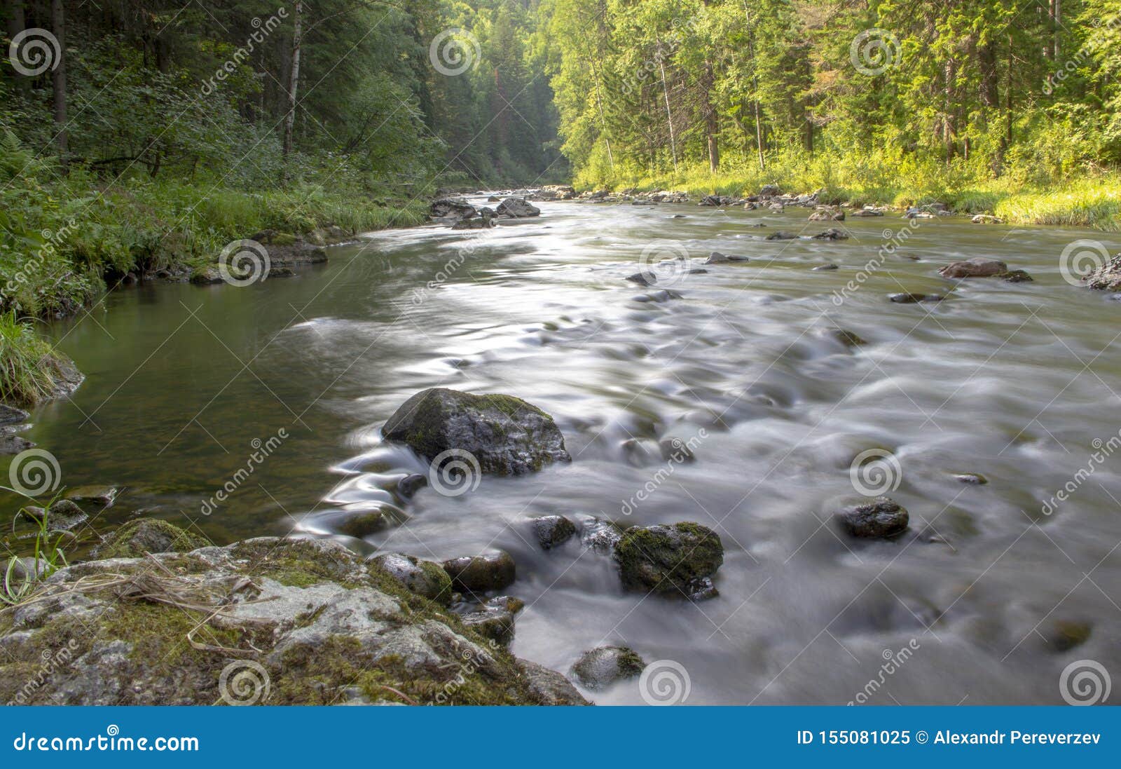 Shallow Picturesque Rocky Fast River Flows in the Taiga Stock Image ...