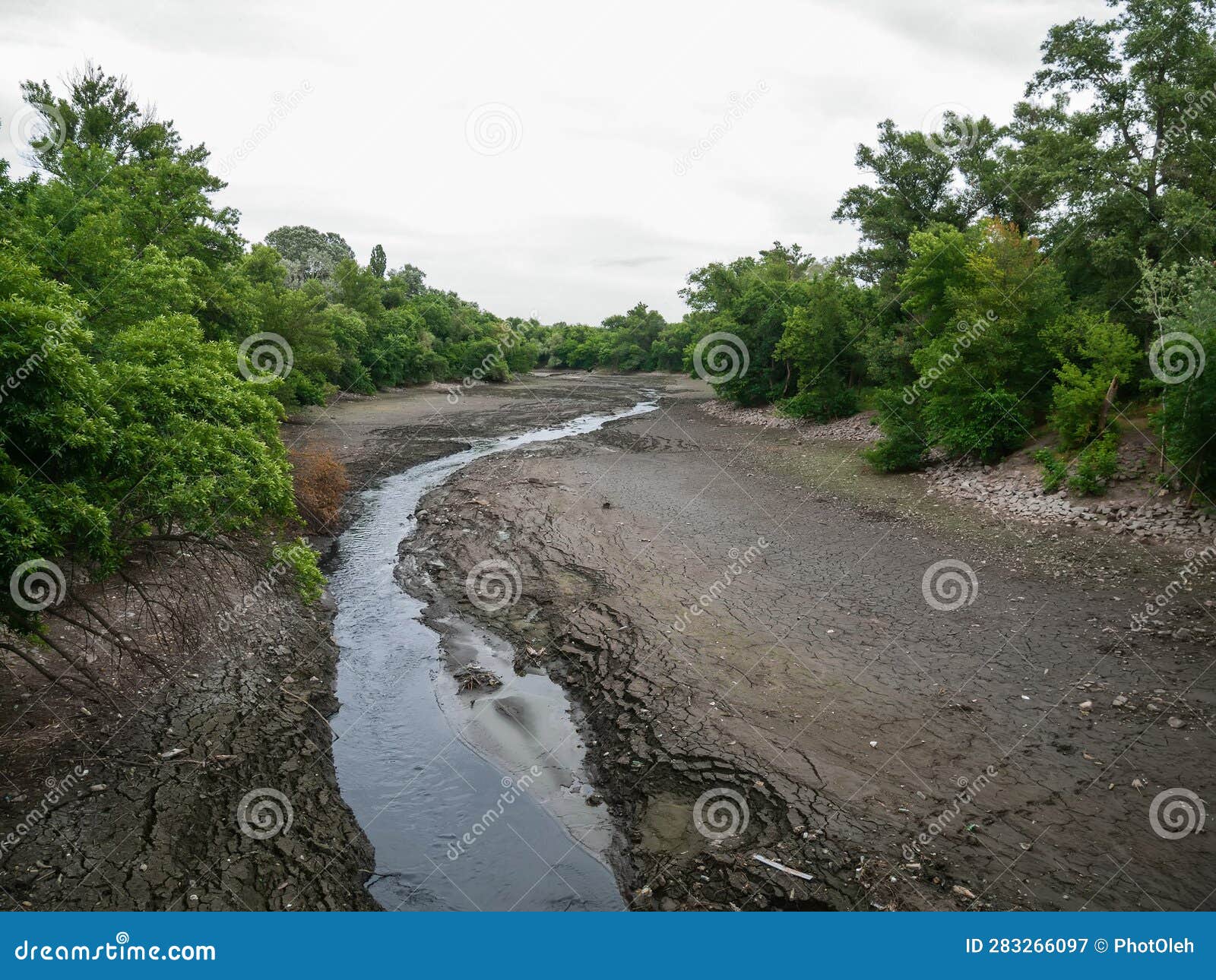 A Shallow, Polluted Riverbed among the Forest Banks Stock Image - Image ...
