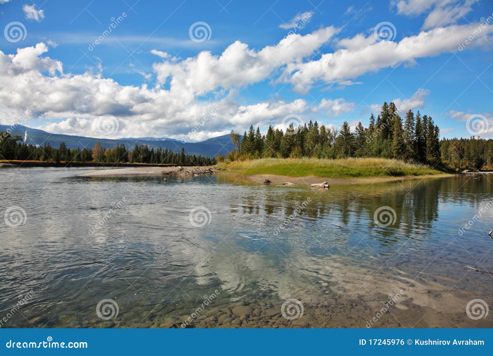The shallow river stock photo. Image of idyllic, reed - 17245976