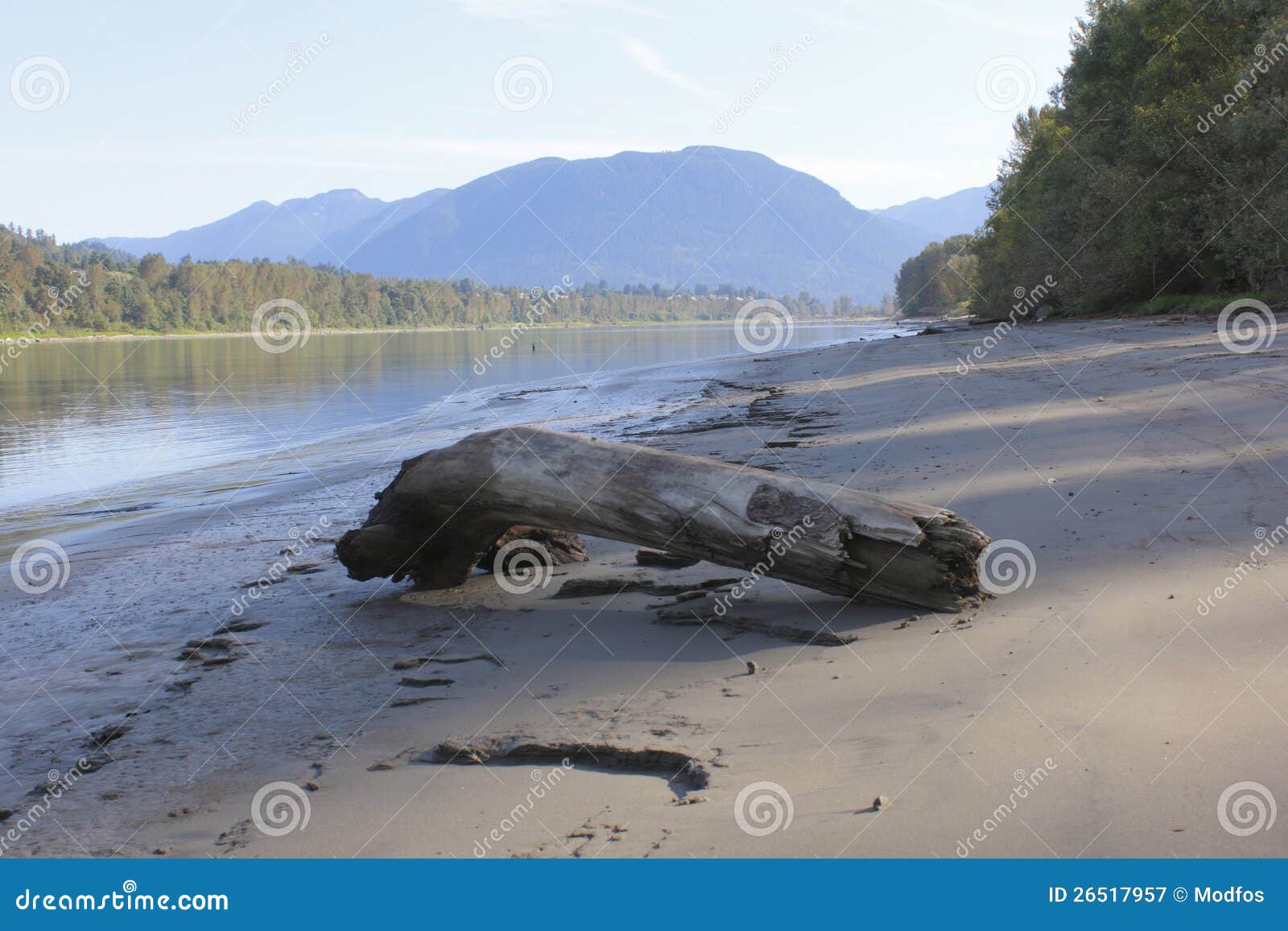 Shallow River stock image. Image of long, sandy, shallow - 26517957