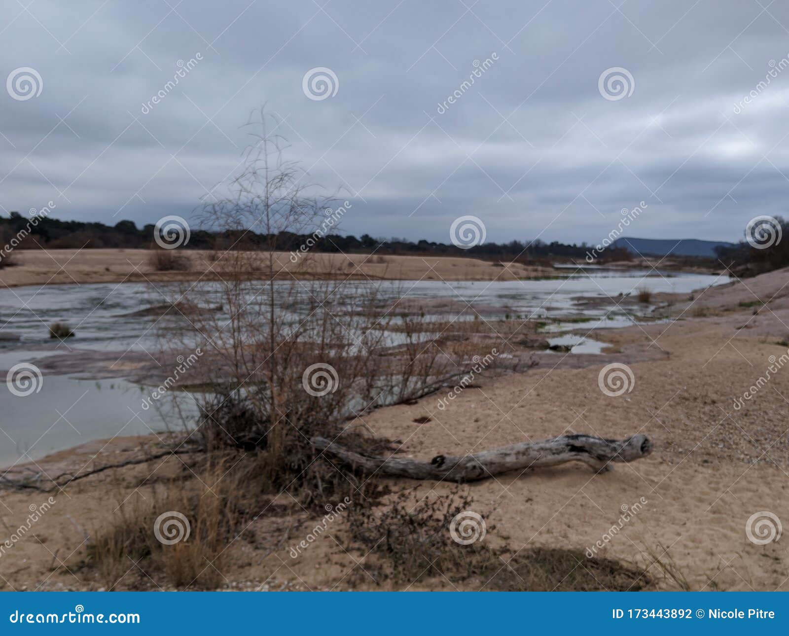 Shallow river bed stock photo. Image of reservoir, marsh - 173443892