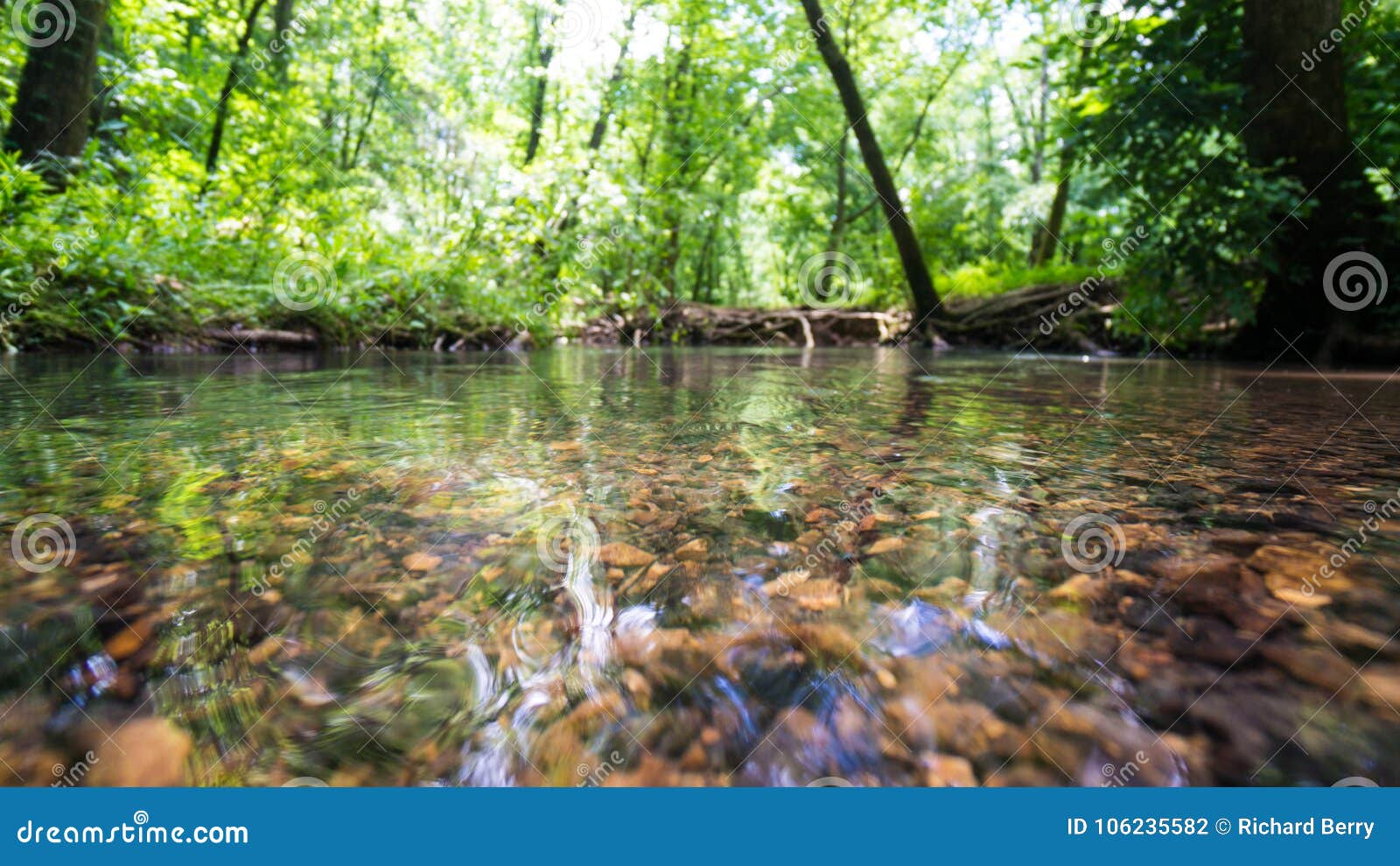 Shallow river bed stock photo. Image of pebbles, surface - 106235582