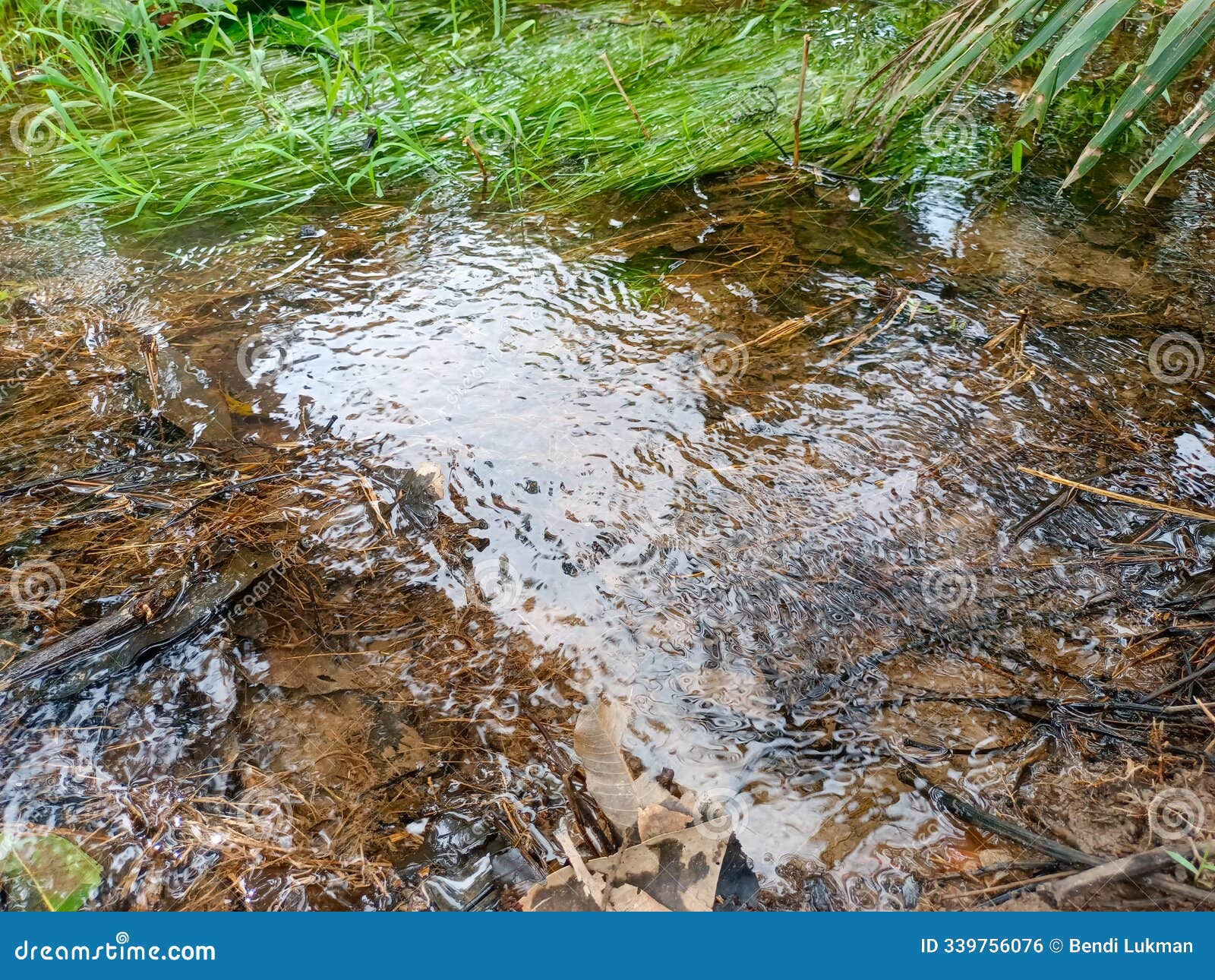 A Shallow River with Clear Calm Water Stock Photo - Image of nature ...