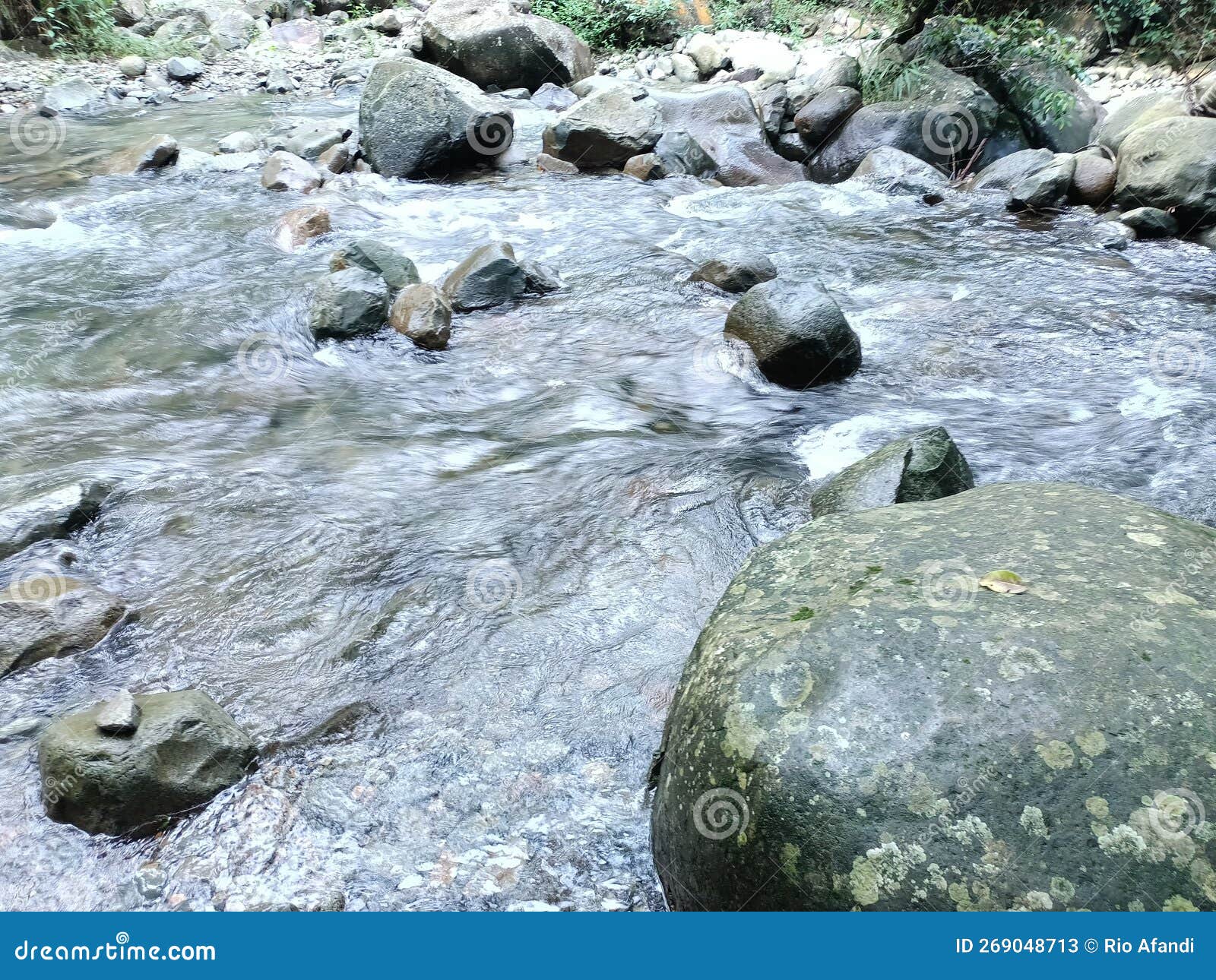 River in the rainforest stock image. Image of outdoor - 269048713