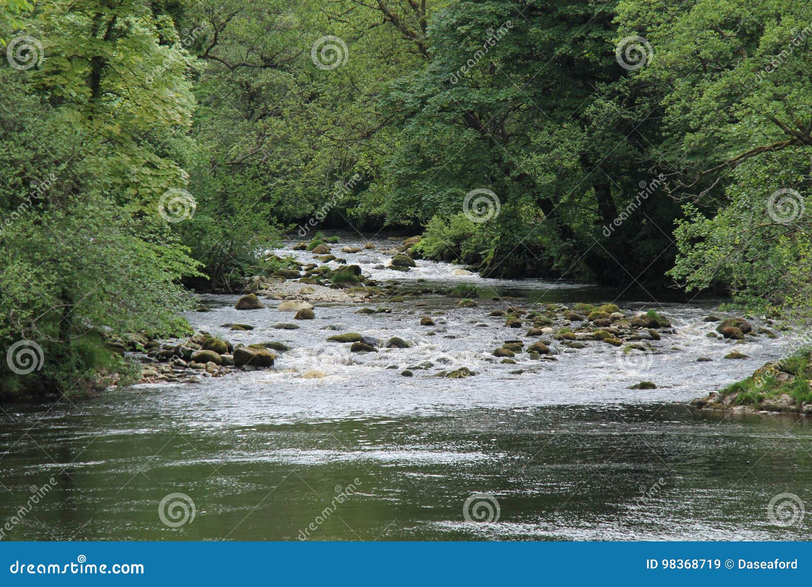 Shallow River. stock image. Image of landscape, country - 98368719