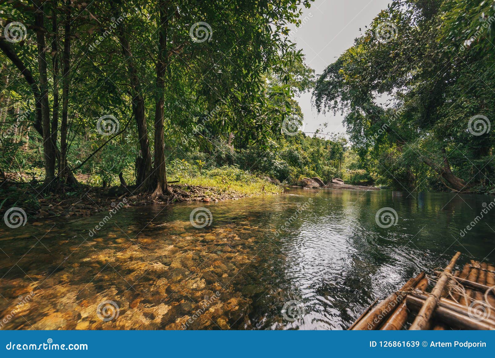Shallow River in the Jungle Stock Image - Image of landscape ...
