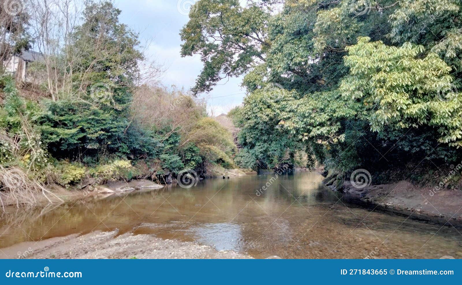 Shallowriver Stock Photos - Free & Royalty-Free Stock Photos from ...