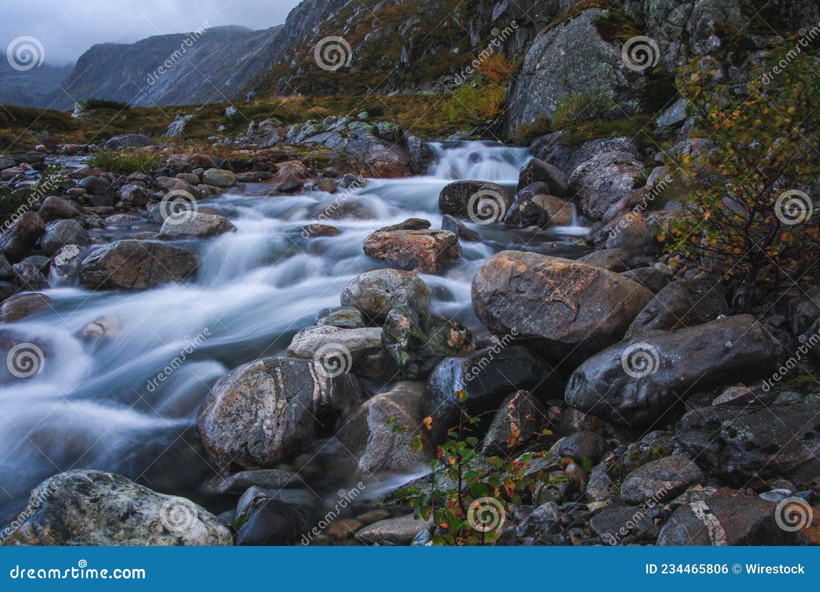 Shallow River in a Mountain Stock Photo - Image of moss, river: 234465806