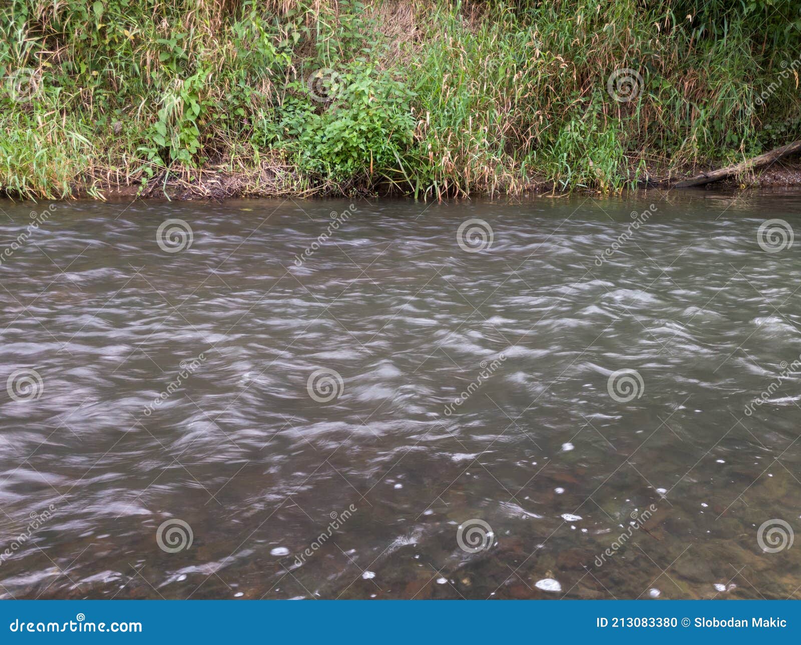 Shallow River Rapids and Steep Riverbank Overgrown with Grass Stock ...