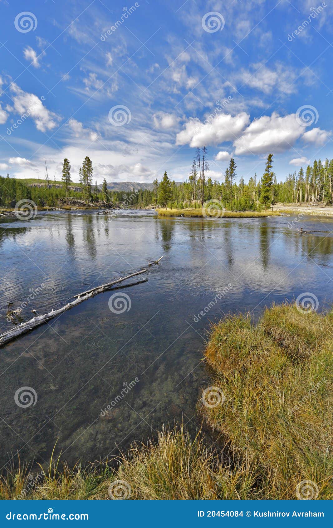 The Shallow River in the USA. Stock Photo - Image of river, horizontal ...
