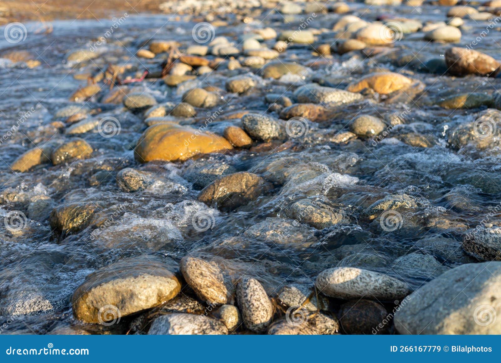 Shallow River Water Rapid Stream Stock Image - Image of texture ...