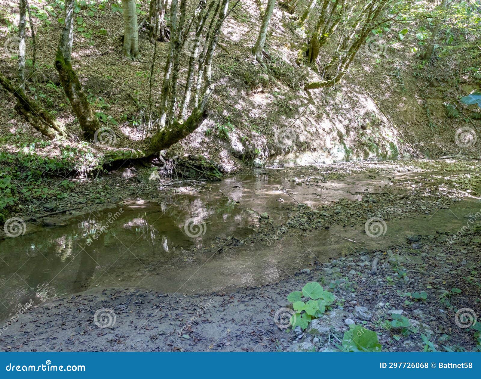 A Shallow Riverbed with a Rocky Bottom and Shoals a Stream of Water ...