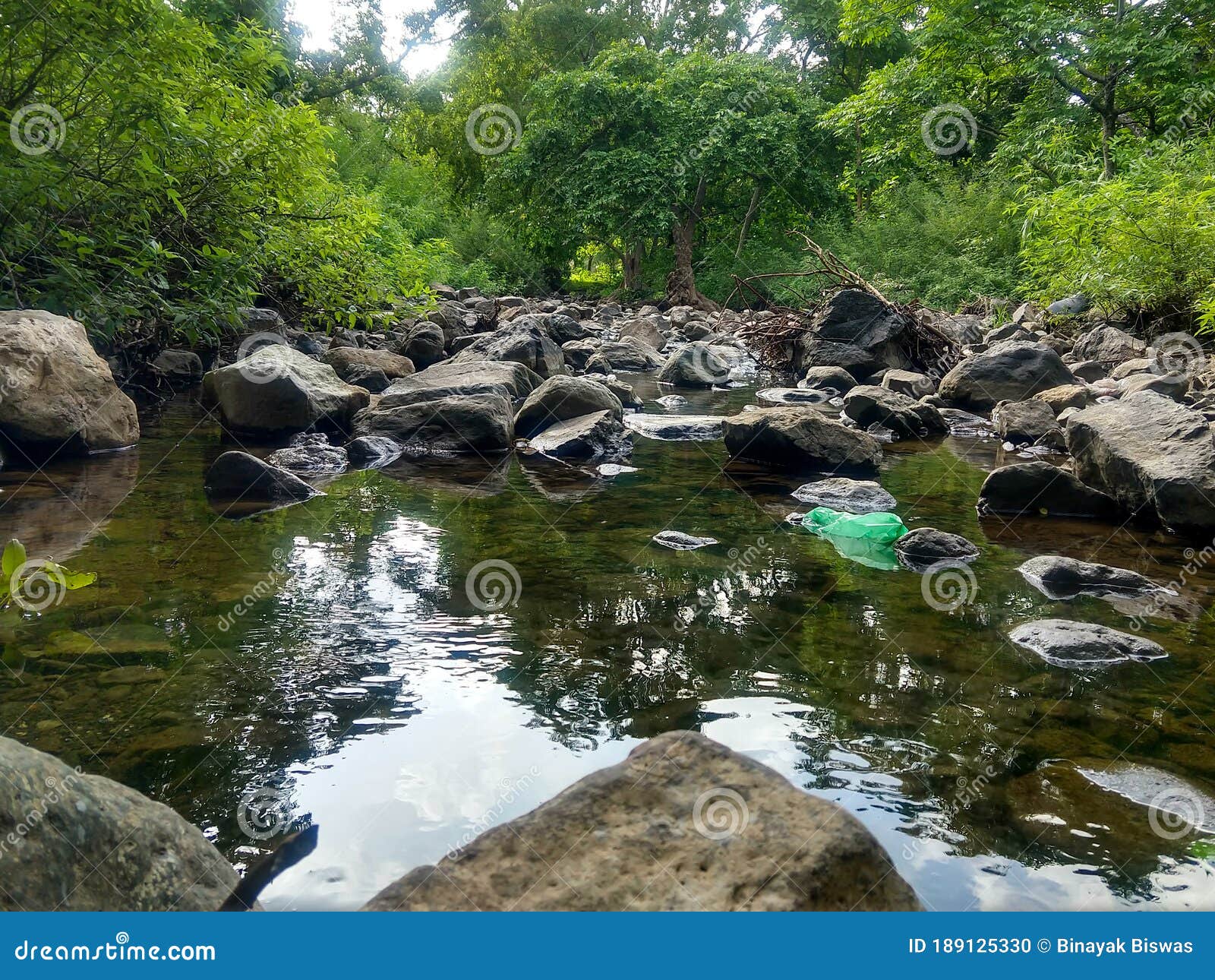 A Shallow Rocky River in the Middle of a Forest. Branches of Trees Over ...