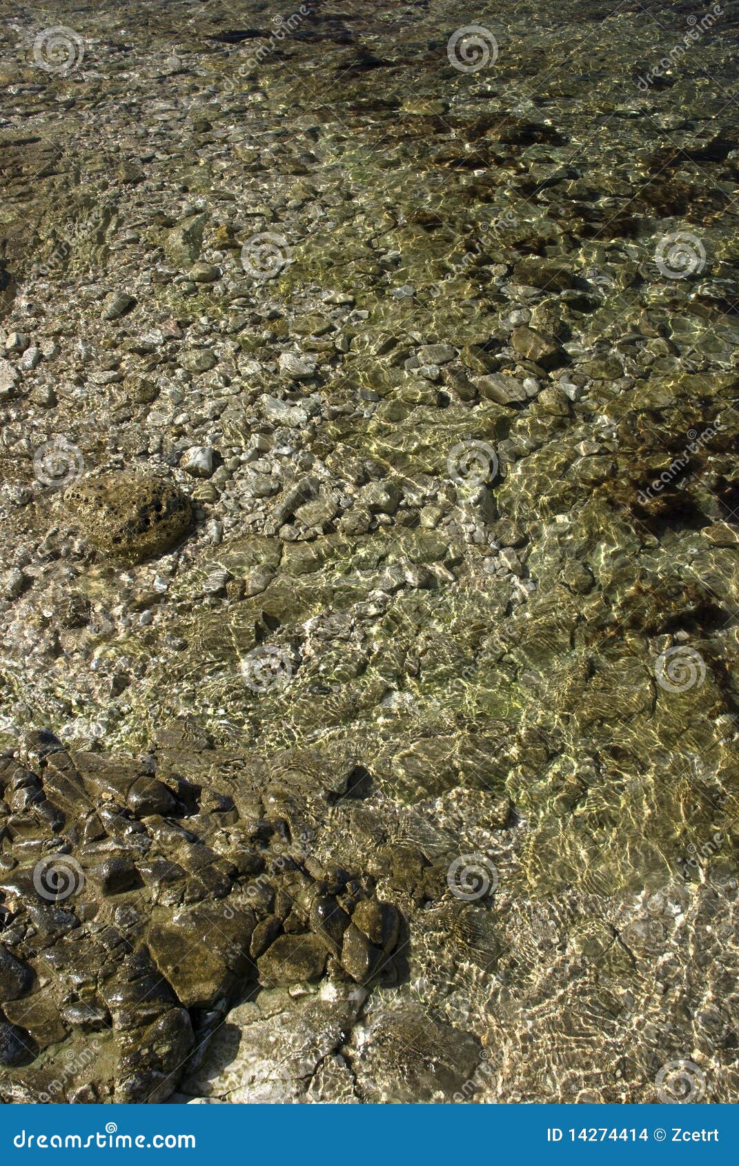 Shallow sea bottom stock photo. Image of reflections - 14274414