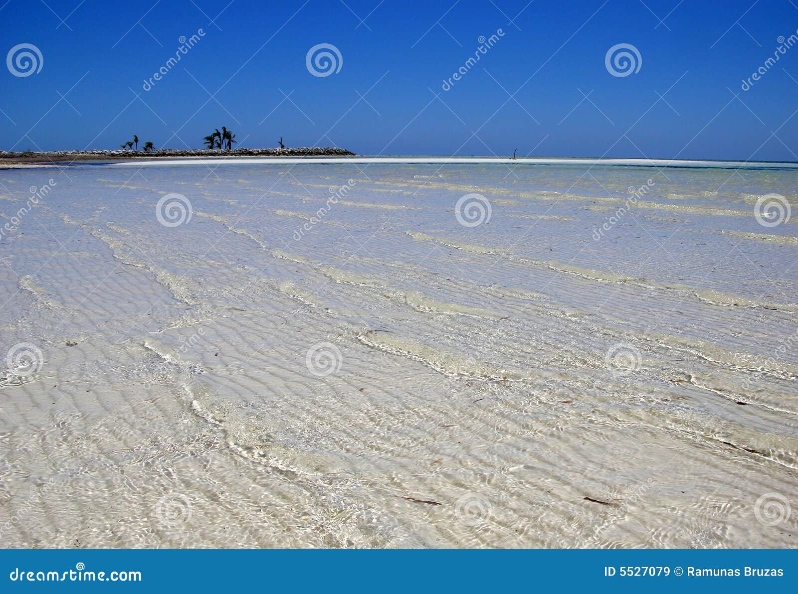 Shallow Shore Picture. Image: 5527079