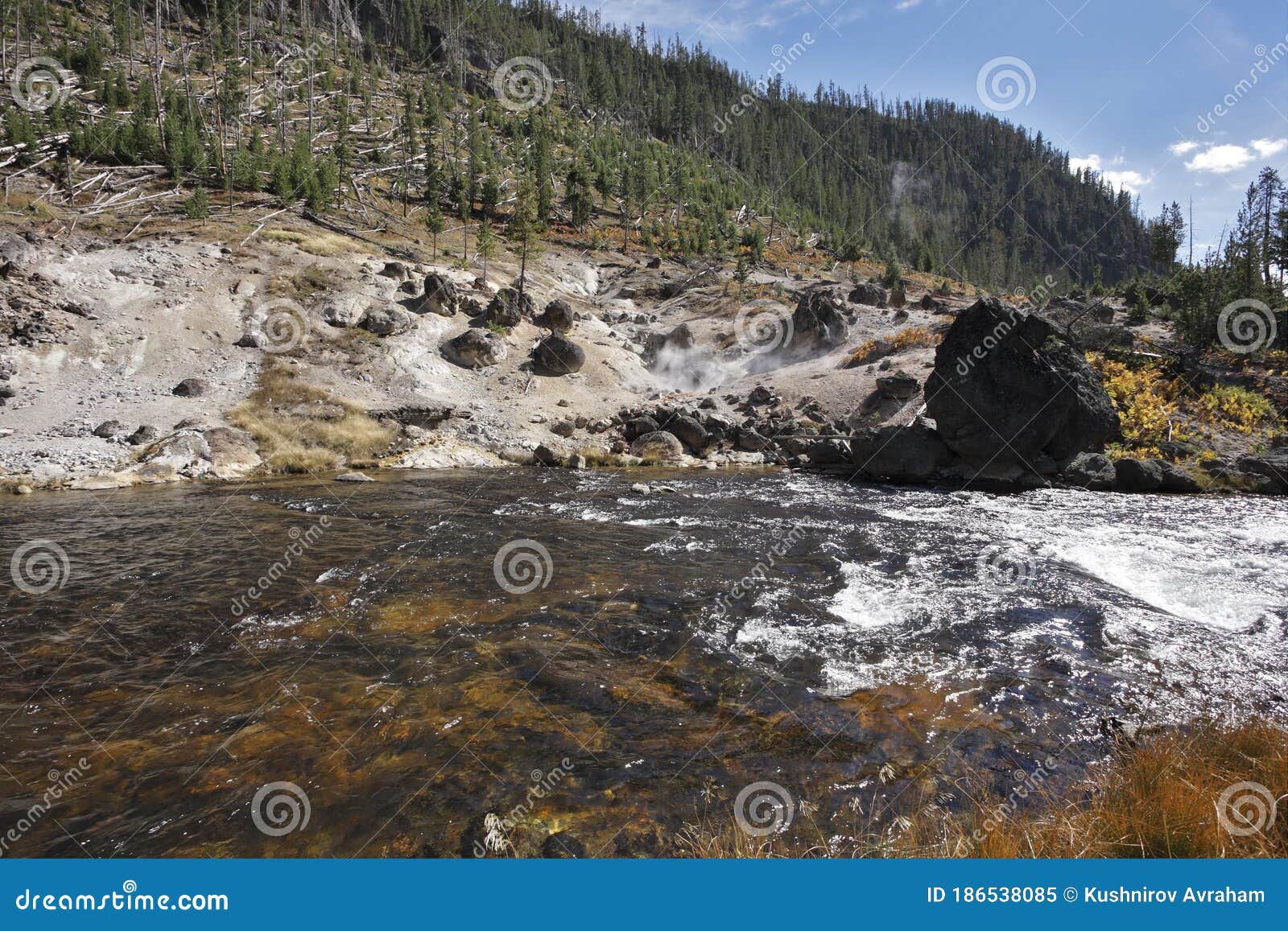 Shallow slow stream stock image. Image of abstract, mountain - 186538085