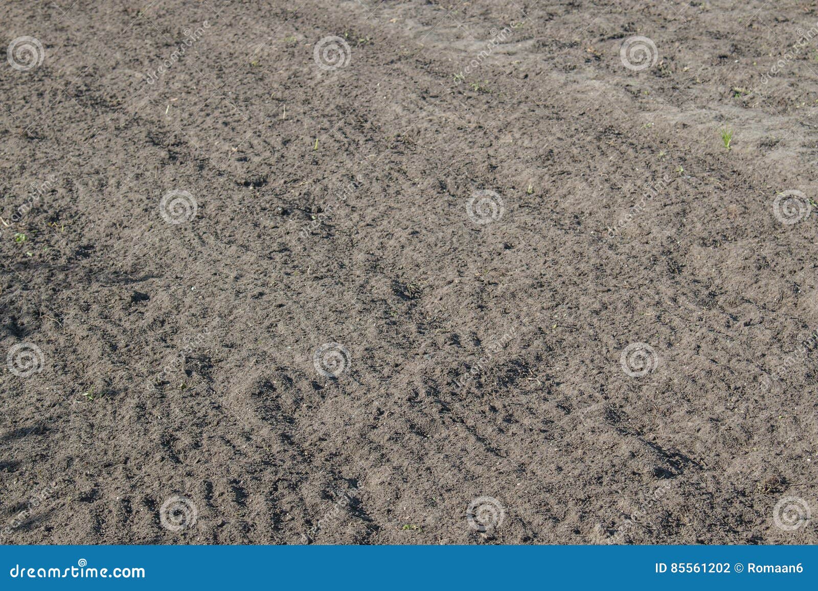 Shallow soil stock photo. Image of landscape, fertile - 85561202