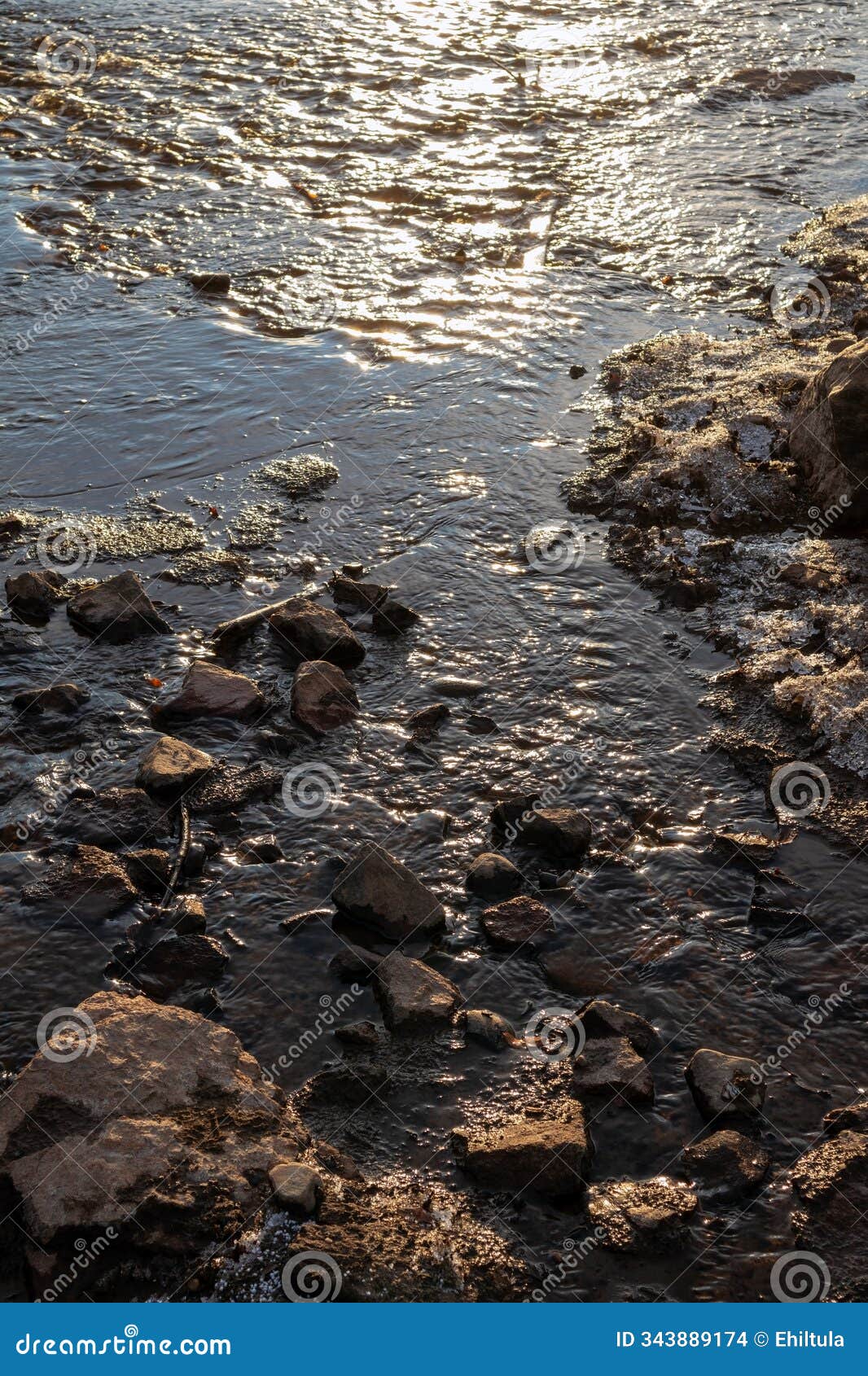 Shallow Stream Flowing Water in Silhouette Stock Photo - Image of river ...