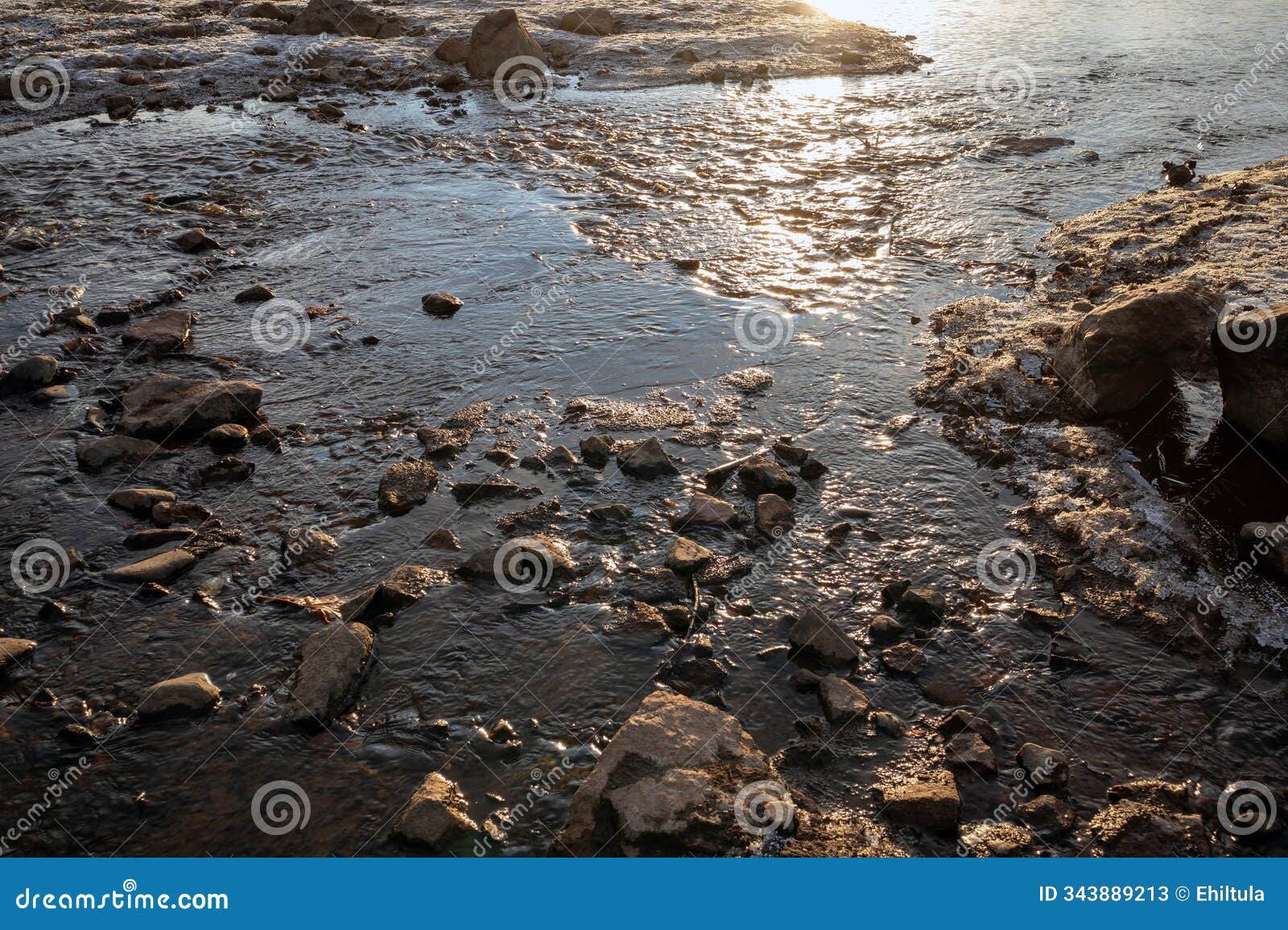 Shallow Stream Flowing Water in Silhouette Stock Image - Image of ...