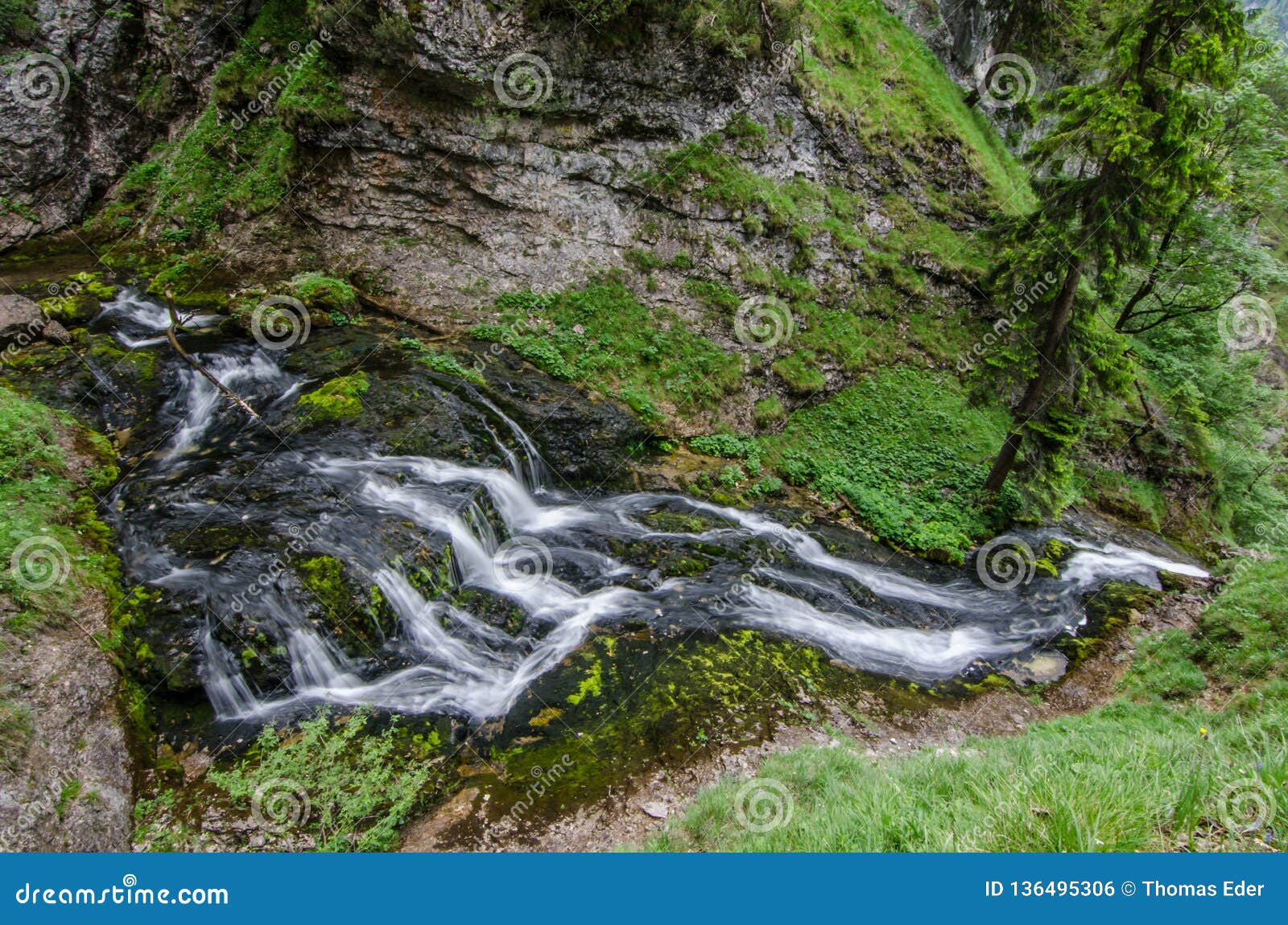 Shallow stream in nature stock photo. Image of creek - 136495306