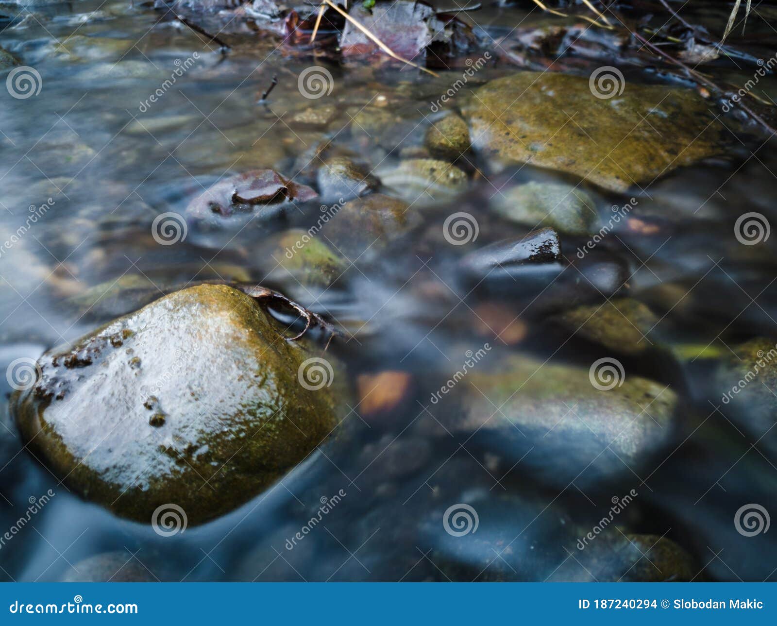 A Shallow Stream in the Woods, Softly Murmuring between the Rocks Stock ...