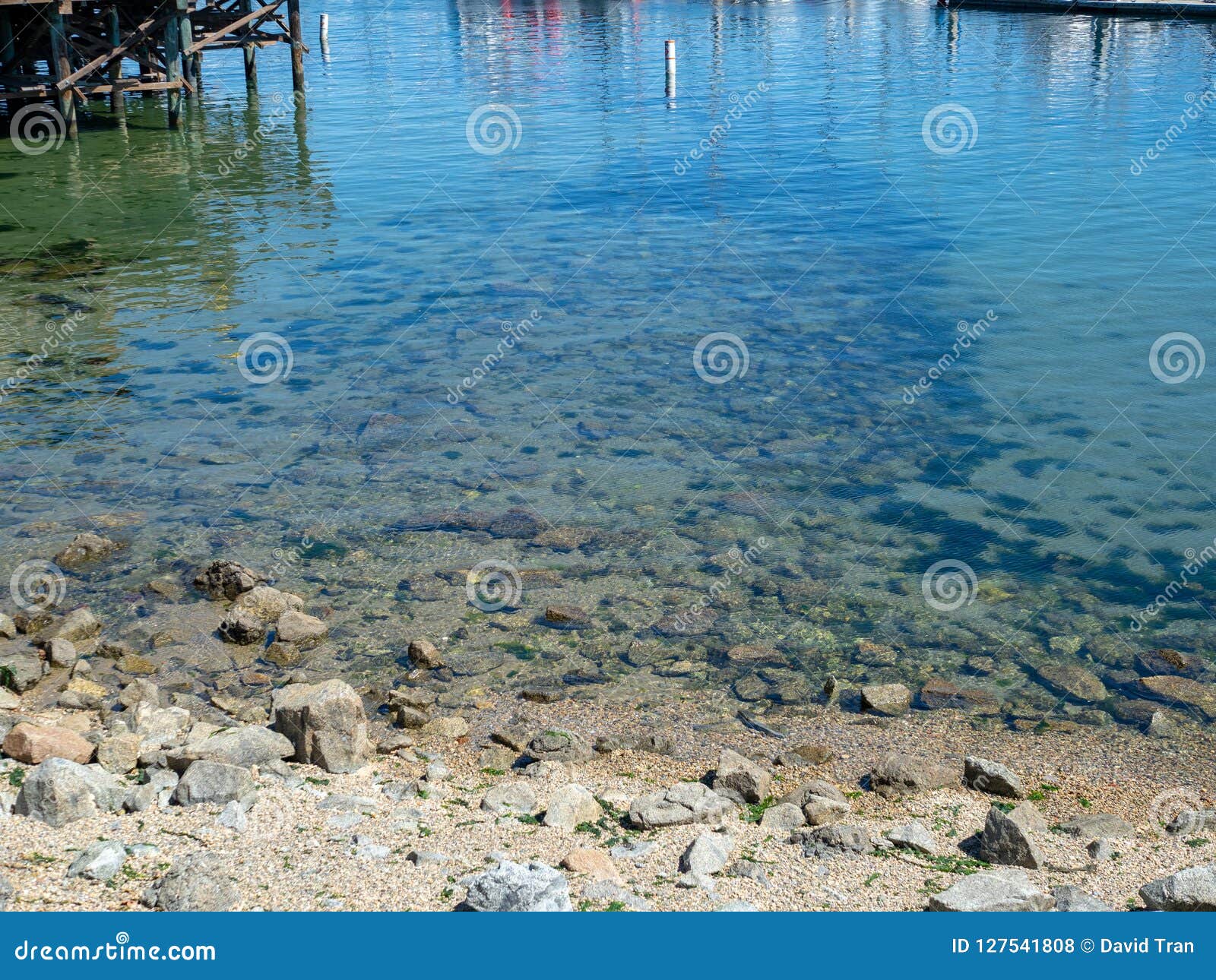 Shallow Tropical Water in a Dock Area with Rocks Resting Stock Photo ...