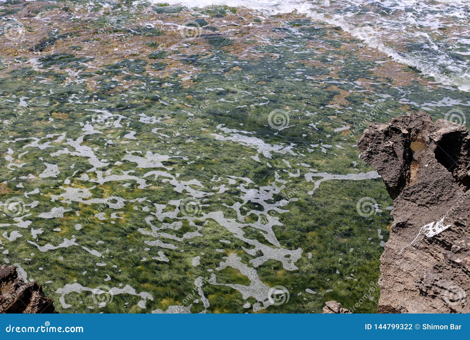 Shallow water color stock photo. Image of morning, algae - 144799322