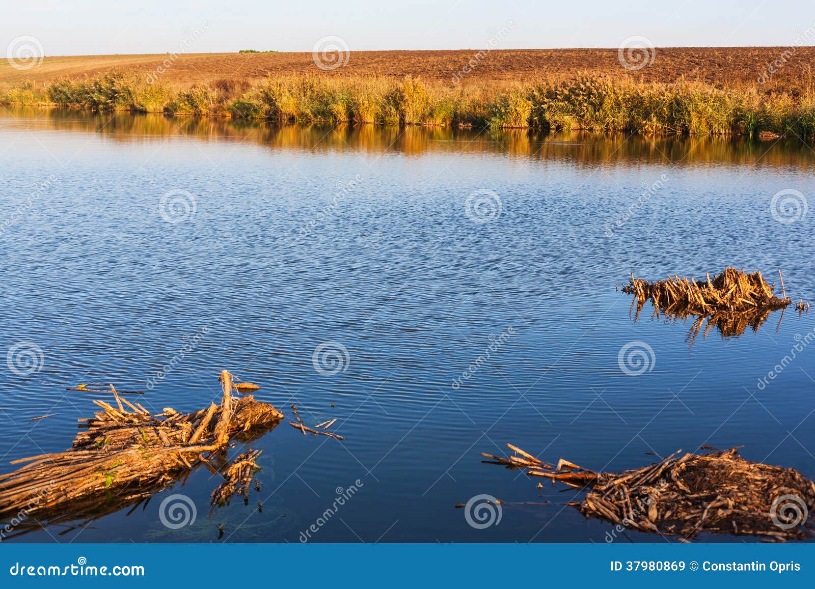Shallow water stock image. Image of water, small, fresh - 37980869