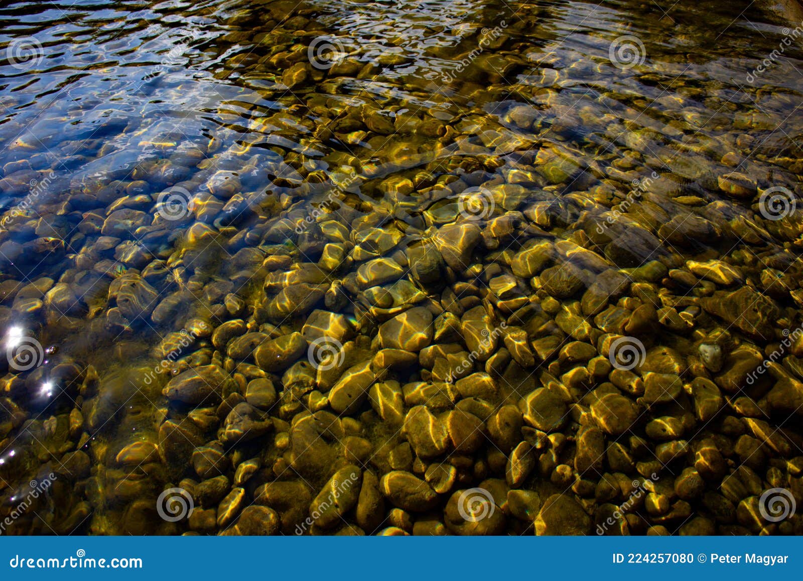 Shallow Water with Pebbles Underwater Stock Photo - Image of tree ...