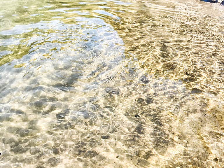 Shallow Water Ripples Over a Sandy Bottom with Sunlight Reflecting Off ...