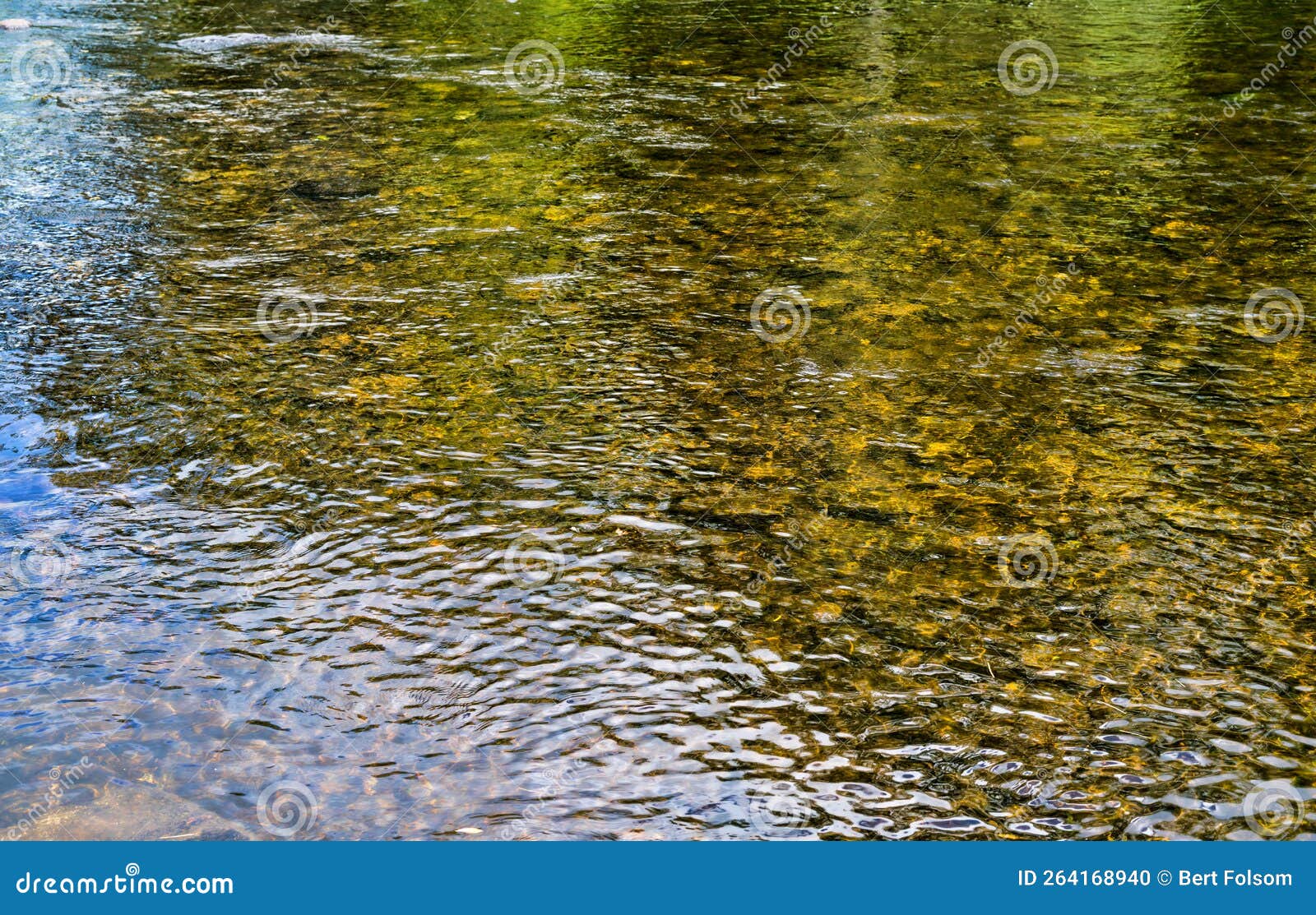 Shallow Water with Rocks and Reflection in a River Late Spring Stock ...