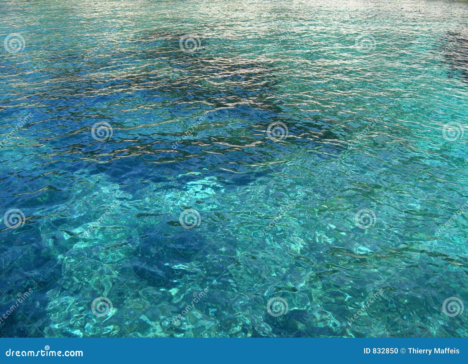 Shallow waters stock photo. Image of emerald, clear, water - 832850