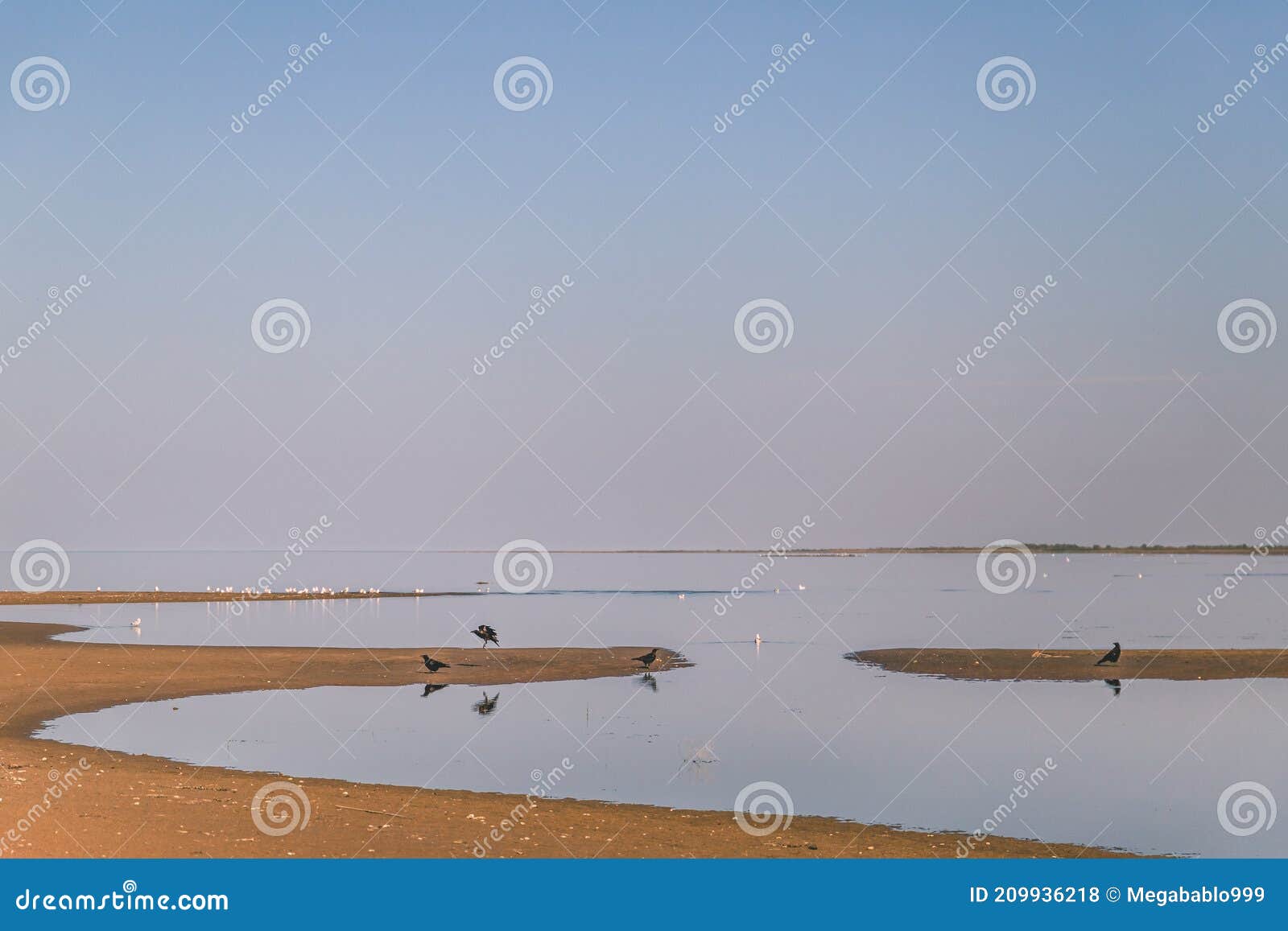 Shallowing at Sunset on the Sea Background Stock Photo - Image of sand ...