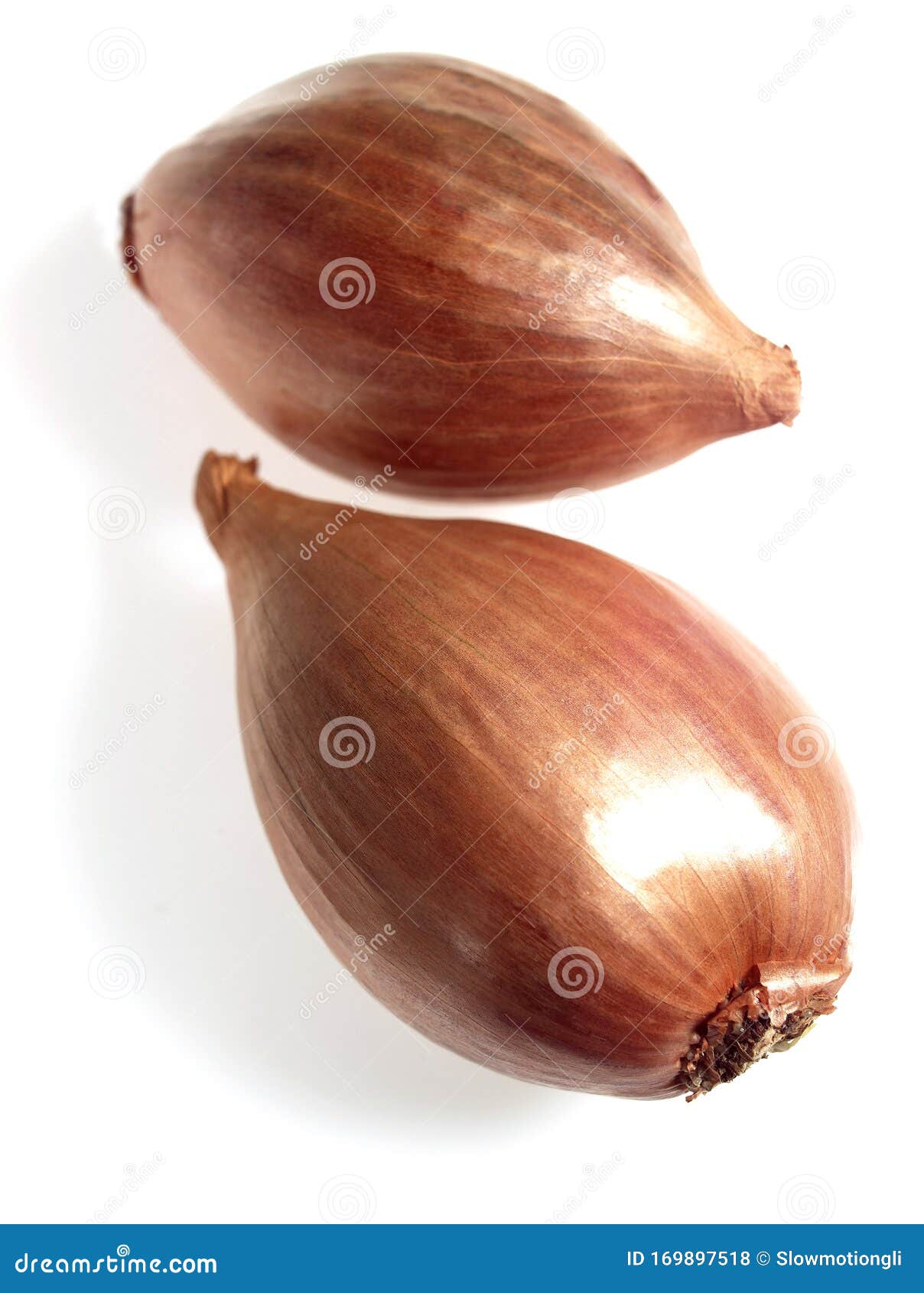 ECHALOTE stock photo. Image of echalote, botany, condiment - 169897518