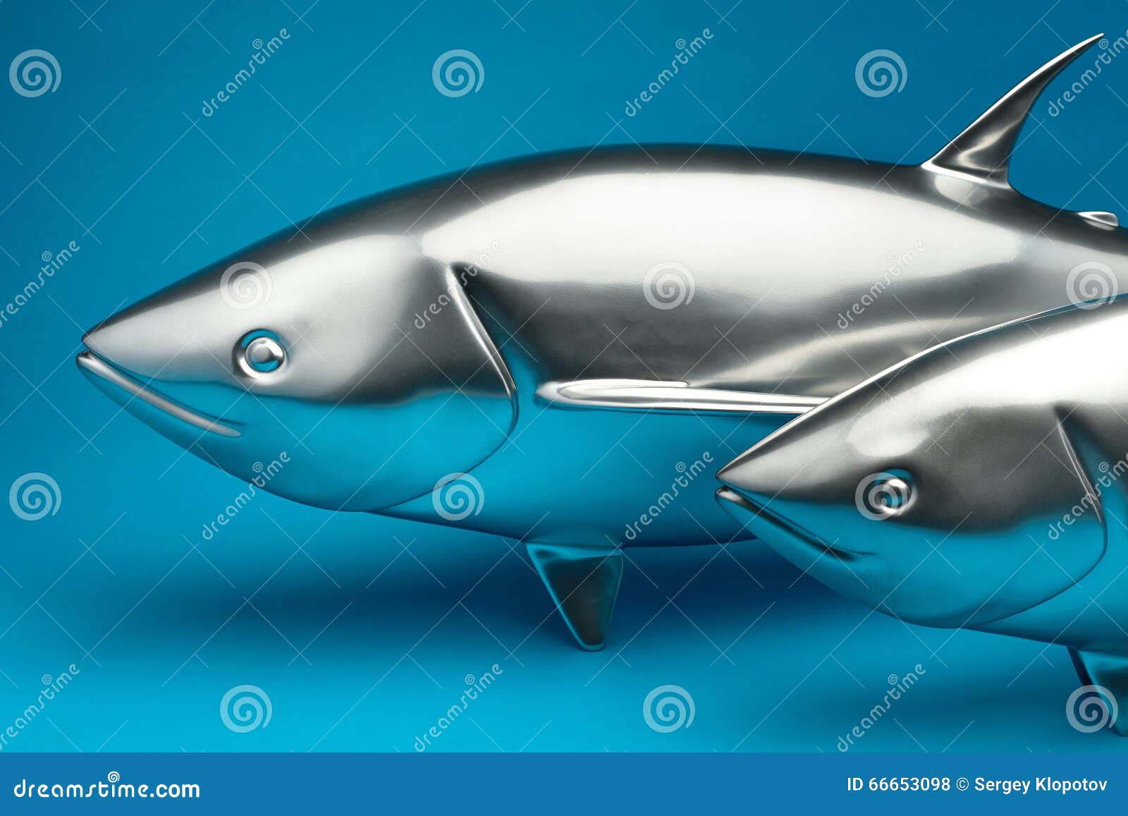 Sham Fish Stock Photos - Free & Royalty-Free Stock Photos from Dreamstime