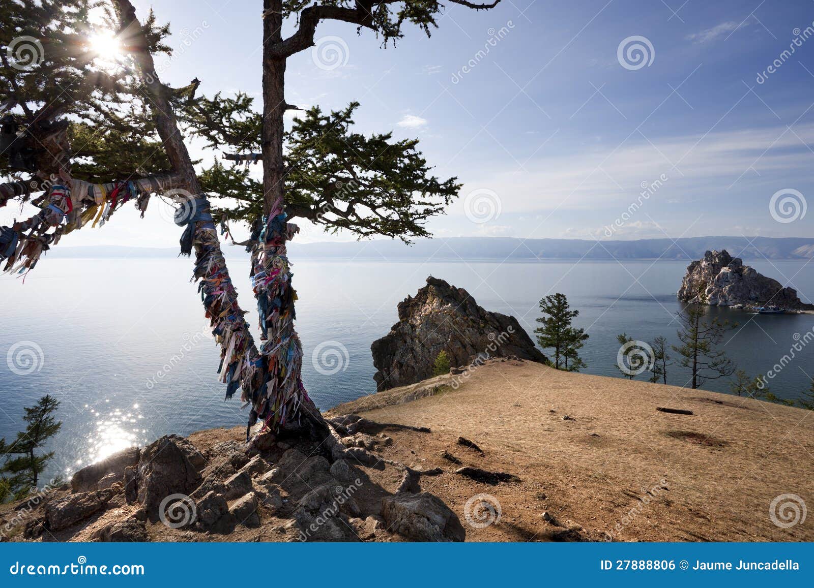 Shaman tree stock photo. Image of rock, hill, land, cliff - 27888806