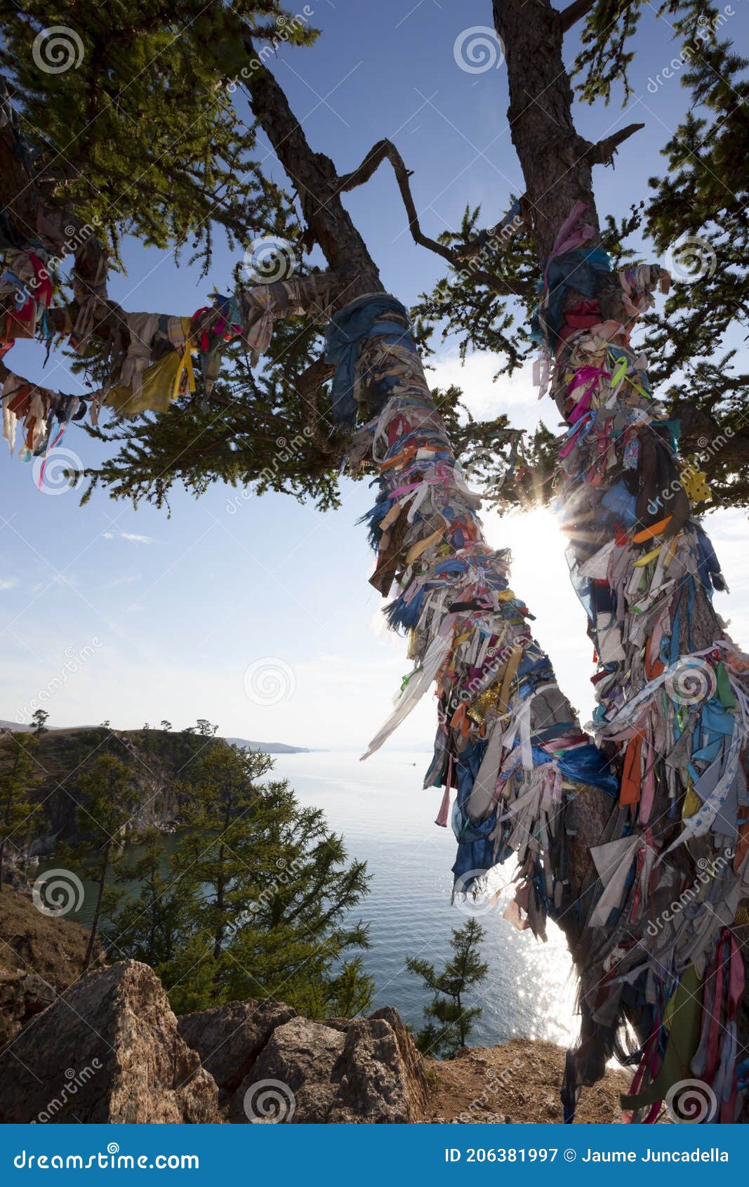 Shaman Tree Stock Image | CartoonDealer.com #33549067