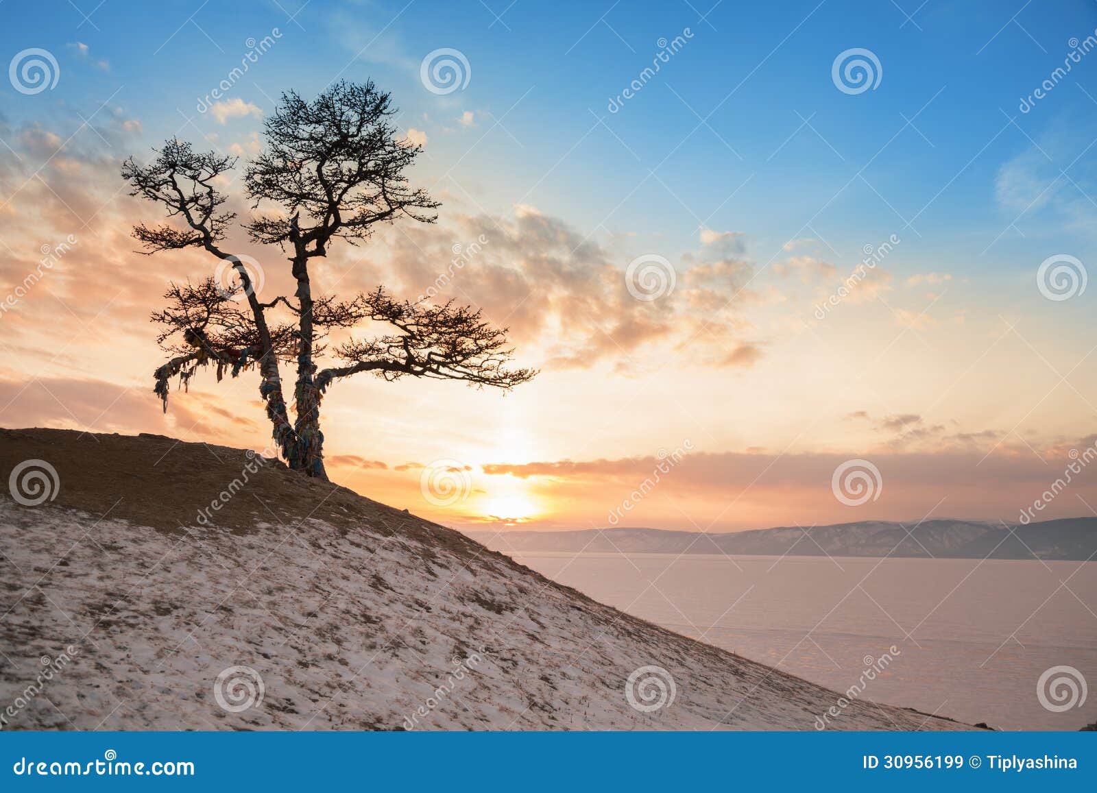 Shaman tree stock image. Image of culture, freezing, alone - 30956199