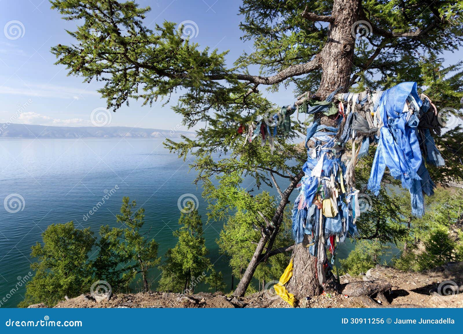 Shaman tree stock photo. Image of tourism, nature, buryat - 30911256