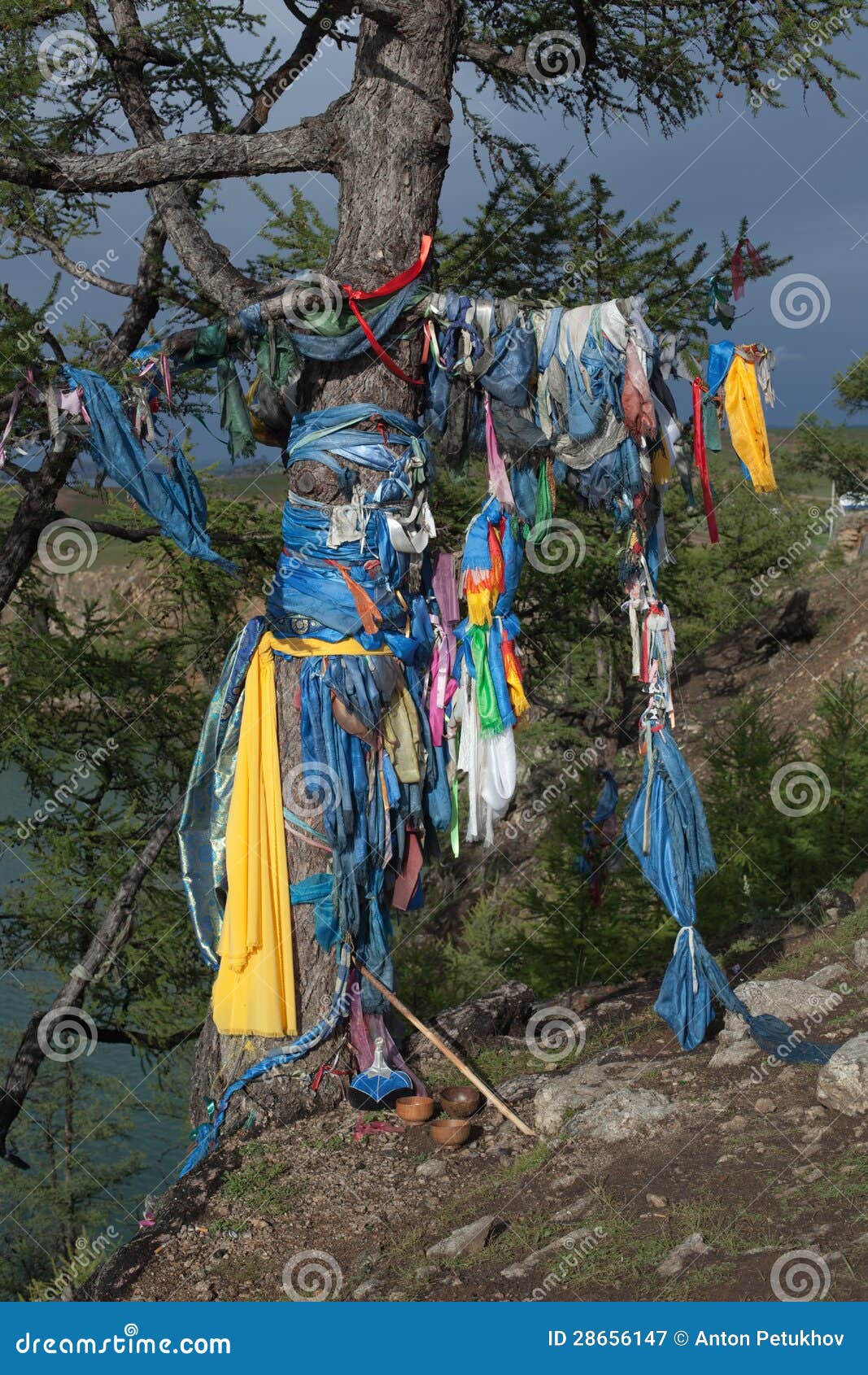 Shaman trees stock image. Image of brown, descriptive - 28656147