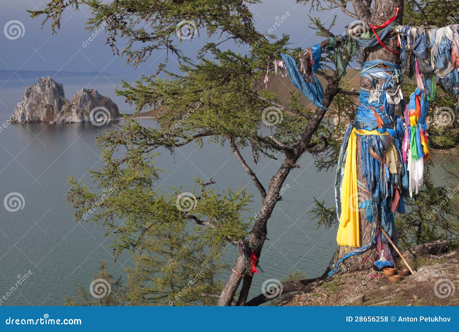Shaman Trees & Mount Shaman Island Olkhon Stock Photo - Image of island ...